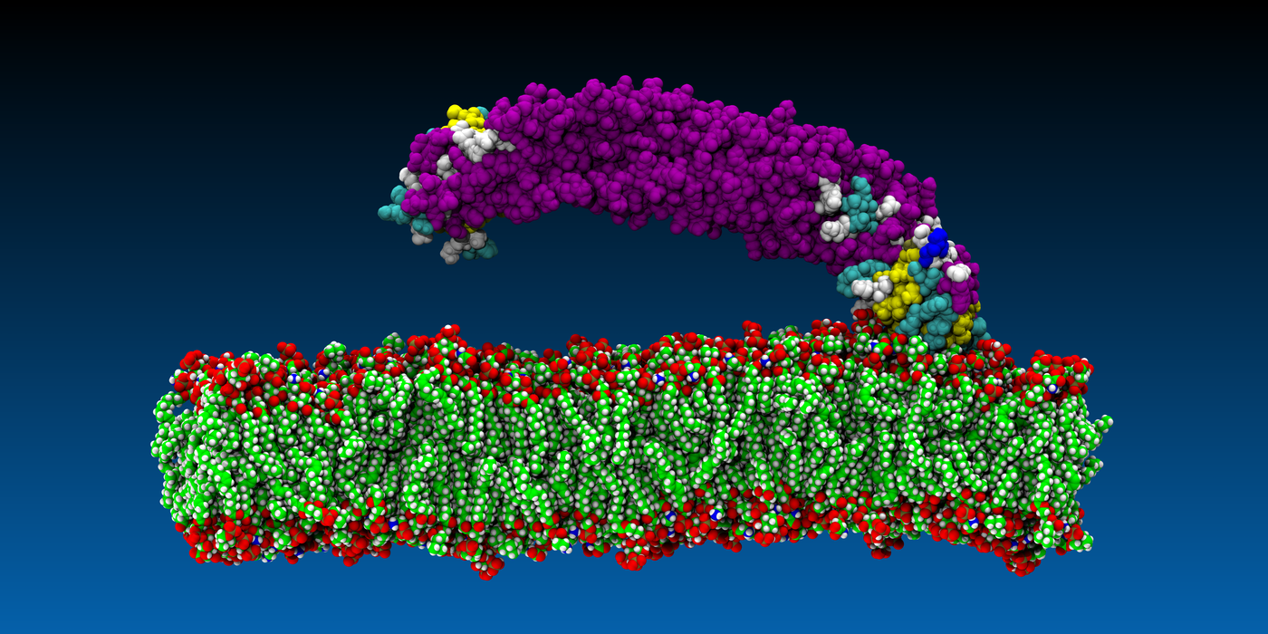How to make images for publication using VMD - Computational Biophysics ...
